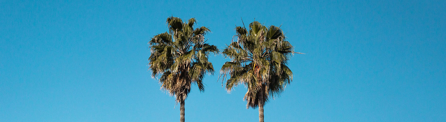 Portadocumentos Mujer – Vandalovers